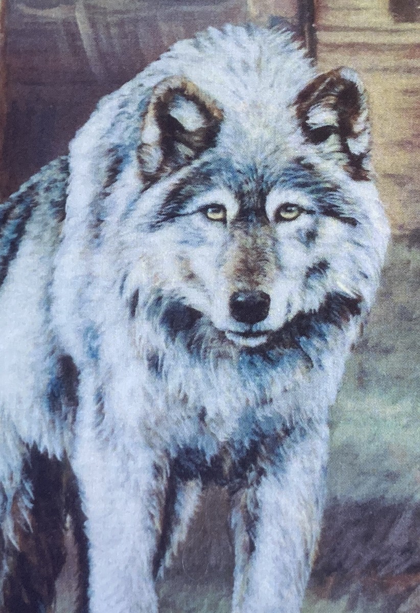 Native American Indian Wolf Art