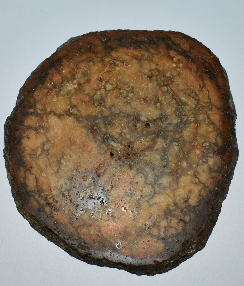 Brain Geode Drusy Chalcedony from North Carolina USA Polished Slab | eBay