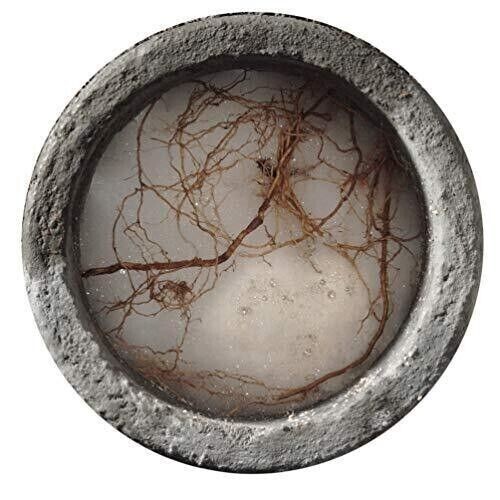 Rootx Foaming Sewer Line Root Killer Controls Roots 4lb Jar w/funnel applicator | eBay