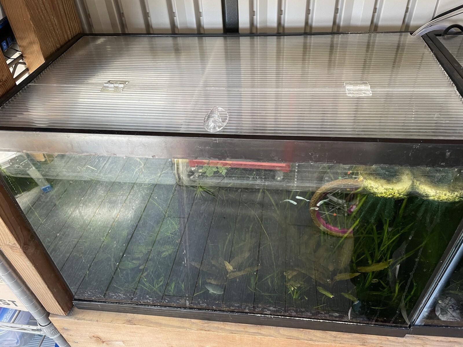 Aquarium Lid Polycarbonate Twin Wall 20 Gallon | eBay