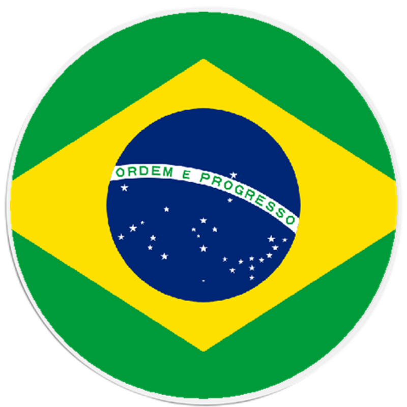 Brazil Flag - 10 Pack Circle Stickers 3" x 3" - Born Raised Pride | eBay