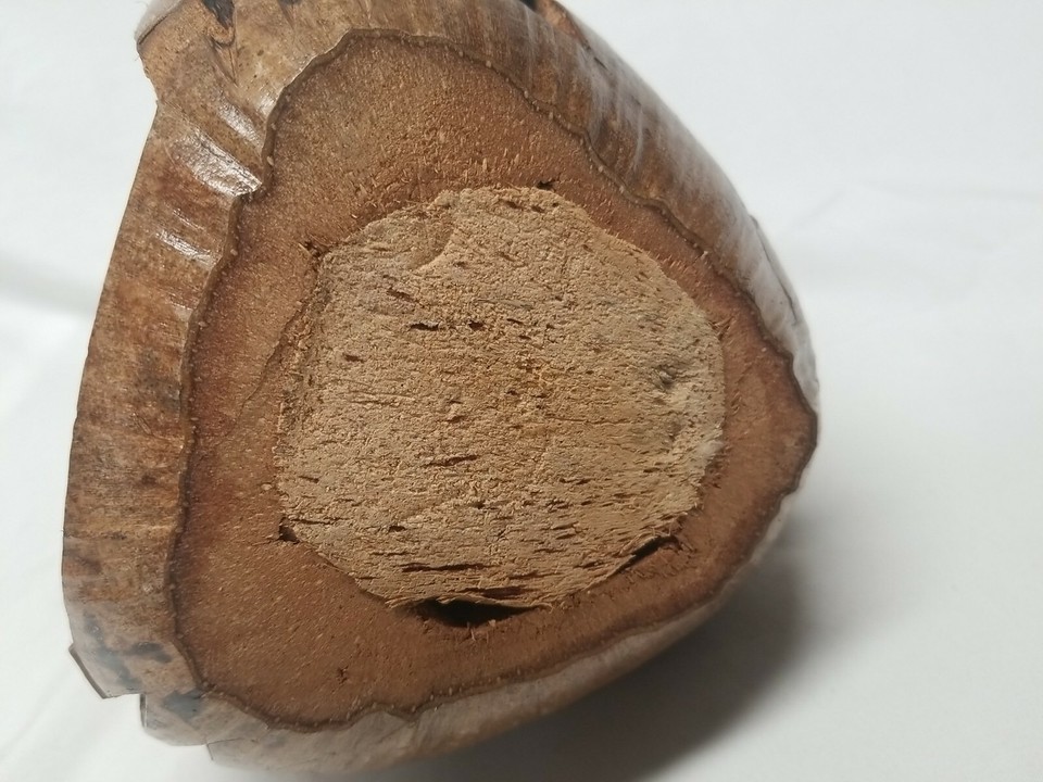 Hand Carved Hawaiian MONKEY WITH GLASSES Coconut Bank Tiki Bar Mancave ...