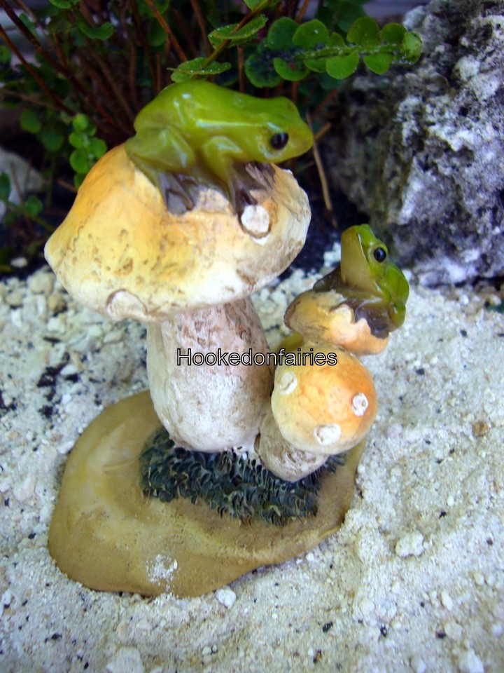 Mini Frog on Mushrooms TO 4441 Miniature Fairy Gnome Hobbit Garden | eBay