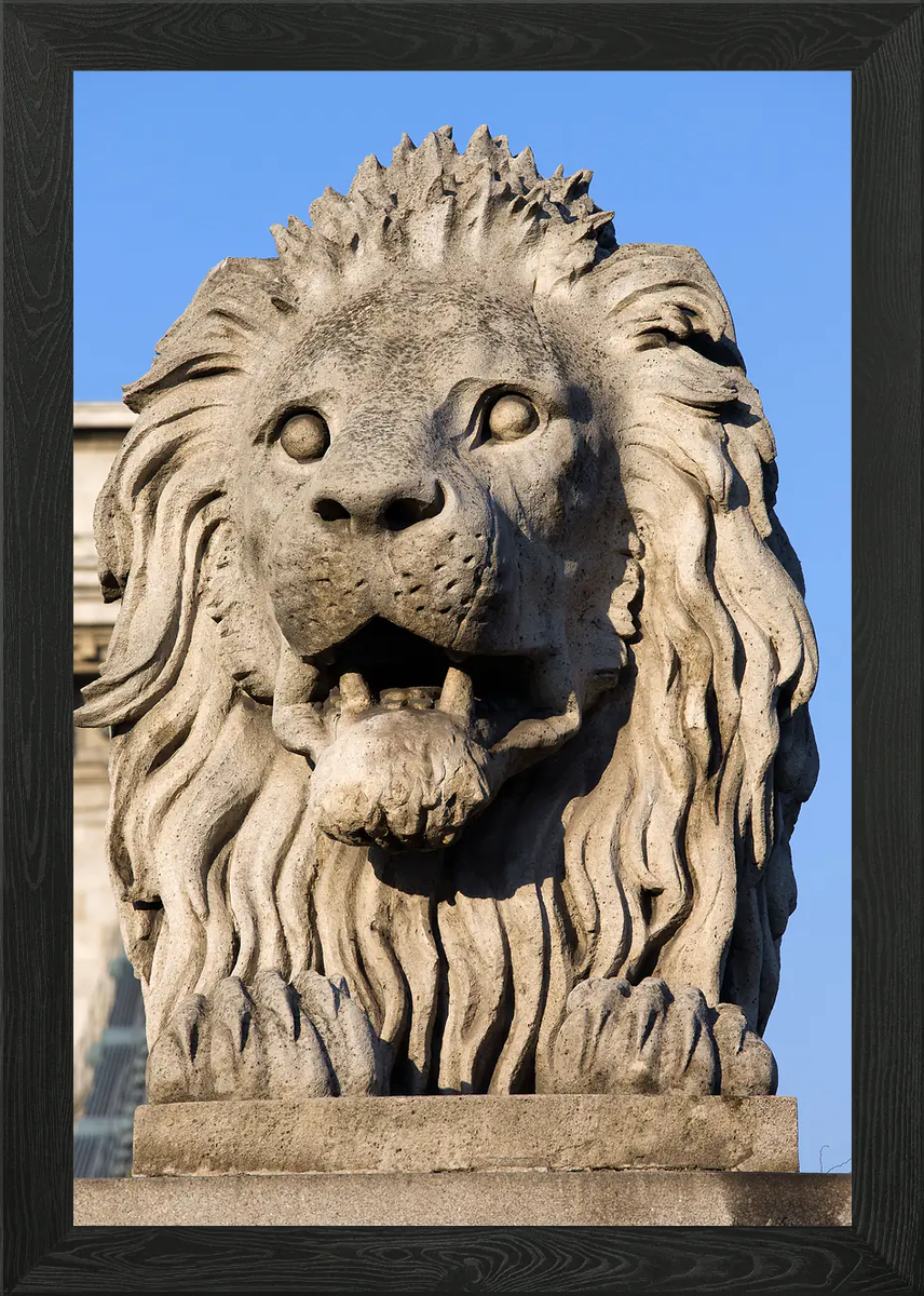 Budapest Chain Bridge Lion Framed Wall Art Poster Canvas Print Picture ...