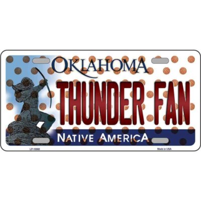 MINI Size 4"x2.2" License Plate Metal Sign for Home Thunder Fan ...