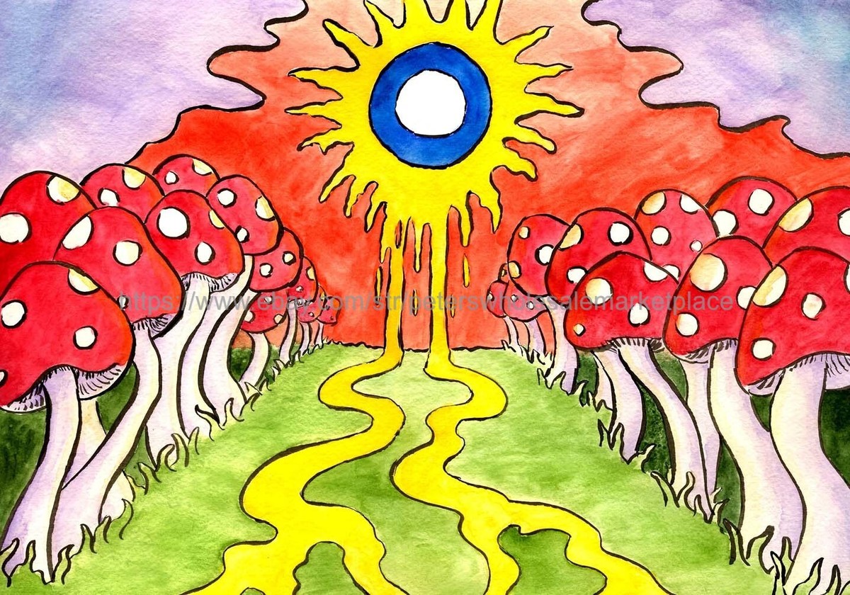 Colorful Shroom Trip Drawings