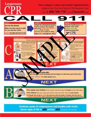 100 CPR Reference Charts for Layperson w/Personalized Imprinting 2015 ...