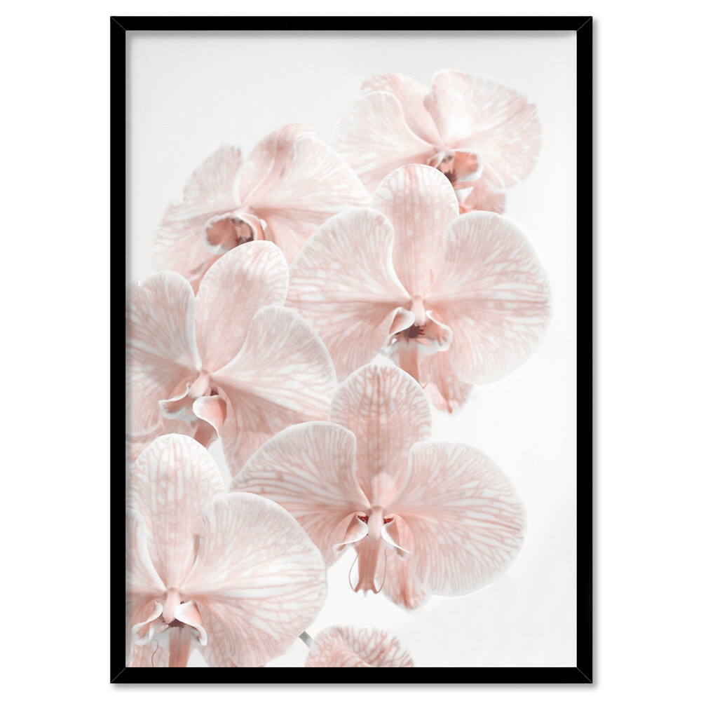 Blush Orchid Flower Print Wall Art. Minimal Decor. Pink Floral Print ...