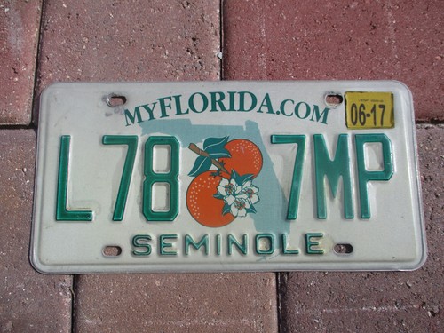 Florida 2017 Seminole county 2 Oranges license plate # L78 7MP | eBay