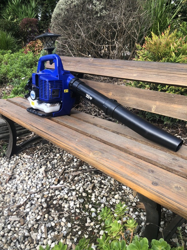 Petrol VICTA LEAF BLOWER DEMO USED 5 MINUTES 2 YEARS WARRANTY Mad Mad ...