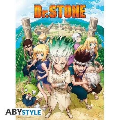 Dr Stone - Affiche "groupe" (52x38) | eBay
