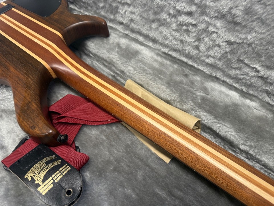 4 String Fretless Electric Bass Guitar-Excellent Condition - NOW ...