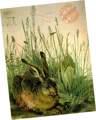 ALBRECHT DURER Hare Rabbit in weeds 1502 * Graphic Nature * Fine ART ...