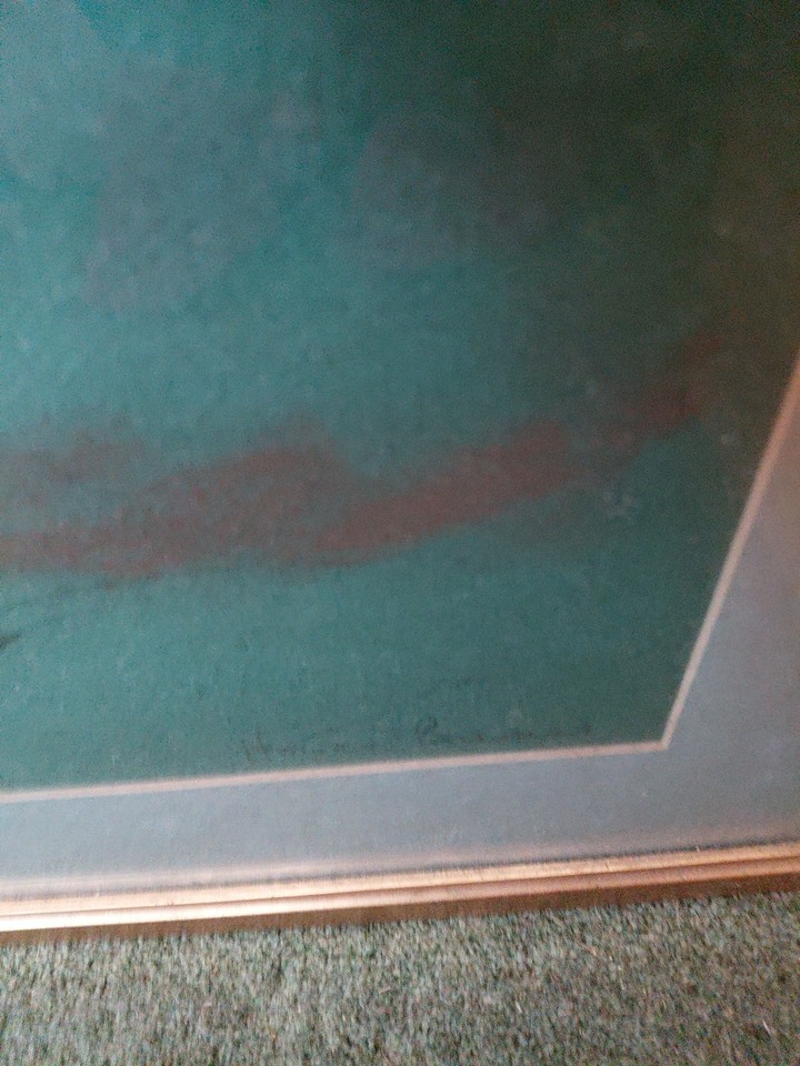 Howard Barnes Charcoal Painting Woman Floating In Water | eBay UK