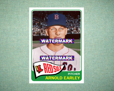 Arnold Earley Boston Red Sox 1965 Style Custom Baseball Art Card | eBay