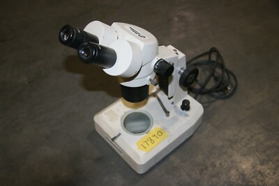 Fisher Scientific Microscope - 17840m | eBay