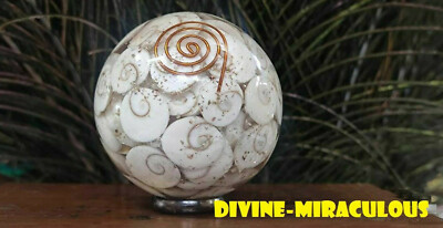 Wealth Health And Success Attraction Vastu Dosh Removal Bless Gomti ...