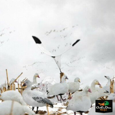 RIG'EM RIGHT WATERFOWL HYPNOTIZER SNOW GOOSE MOTION DECOY FLAPPER FLAG ...