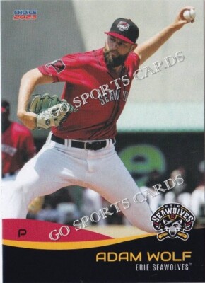 2023 Erie SeaWolves Adam Wolf RC Rookie Detroit Tigers Minor League | eBay