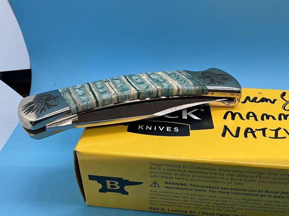 Buck 110 Custom Yellowhorse Lckbck Native Warrior Knife YH425 W ...
