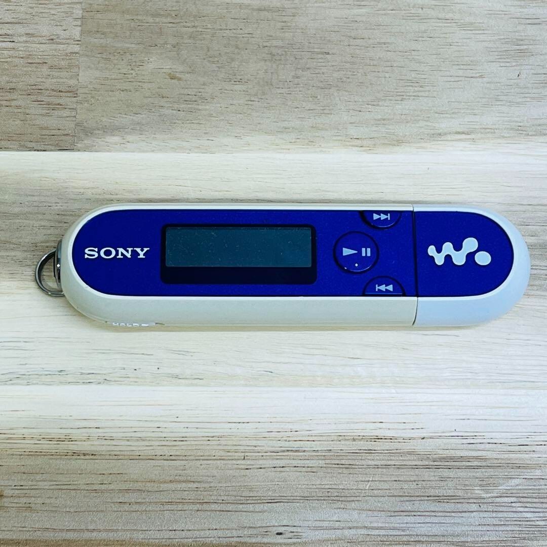 SONY Walkman NW-E042 MP3 Player Blue/white Good | eBay