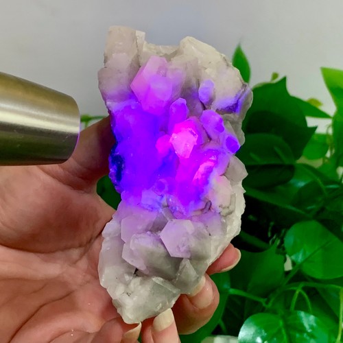 168G Natural Transparent White Fluorescent Calcite Crystal Quartz ...