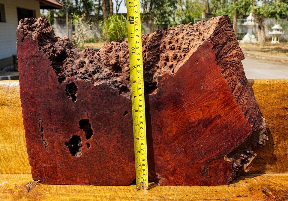 Red!! AMBOYNA BURL LUMBER Live Edge Block Blank Wood Epoxy DIY Resin ...
