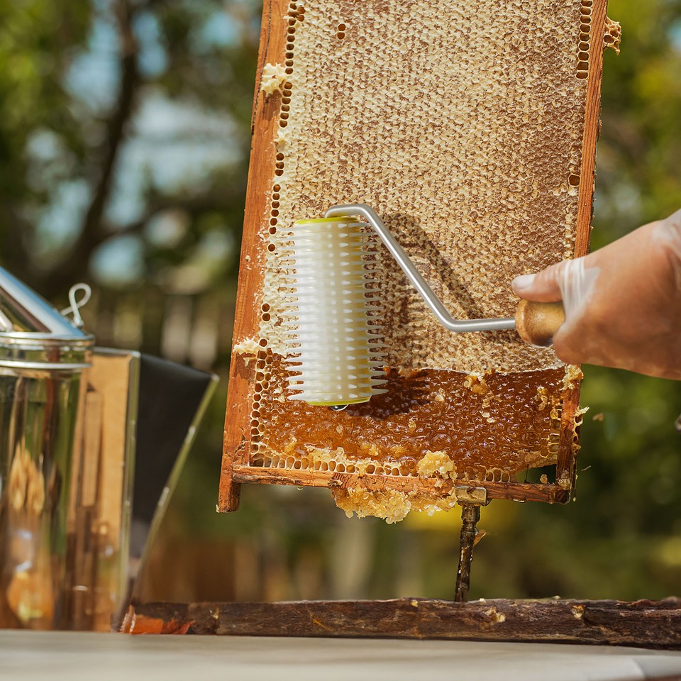Honey Extractor Uncapping Needle Roller Tool for Beekeeping | eBay