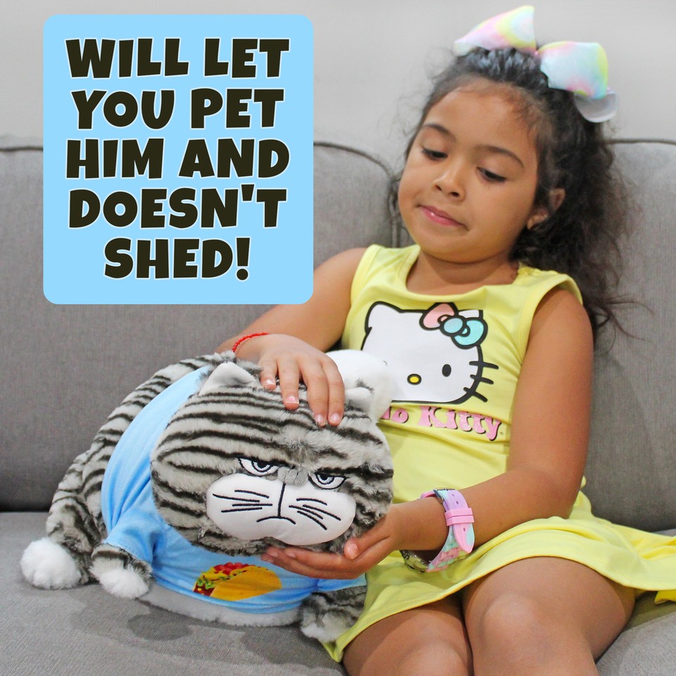 Chonky Cat Weighted Plush, Stuffed Fat Cat Plush Animal Toy, Autism ...