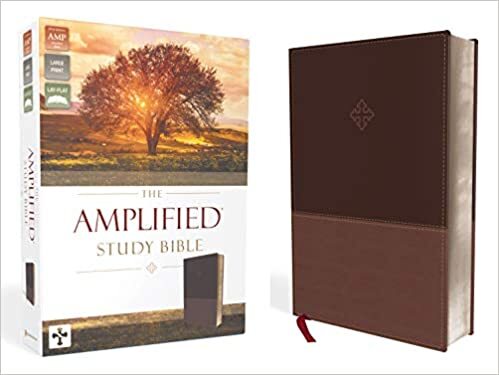The Amplified Study Bible IMITATION LEATHER 2017 by Zondervan ...