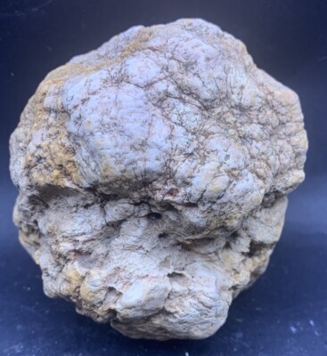 Fossilized Indiana Geode Quartz Crystal Whole 2 Lb Agate crinoid calyx ...