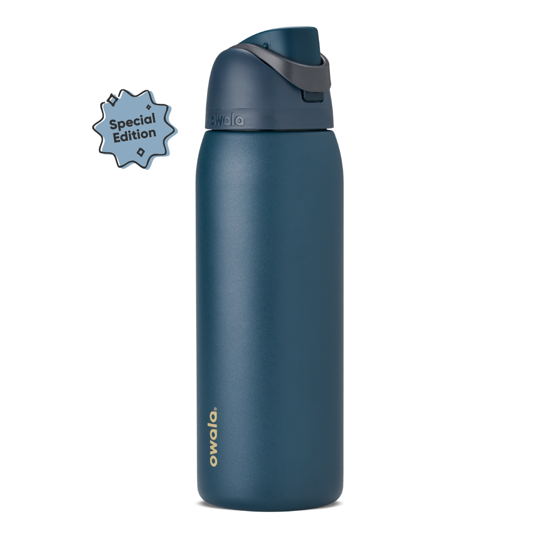 Owala FreeSip Stainless Steel Insulated Water Bottle, 40oz, Winter ...