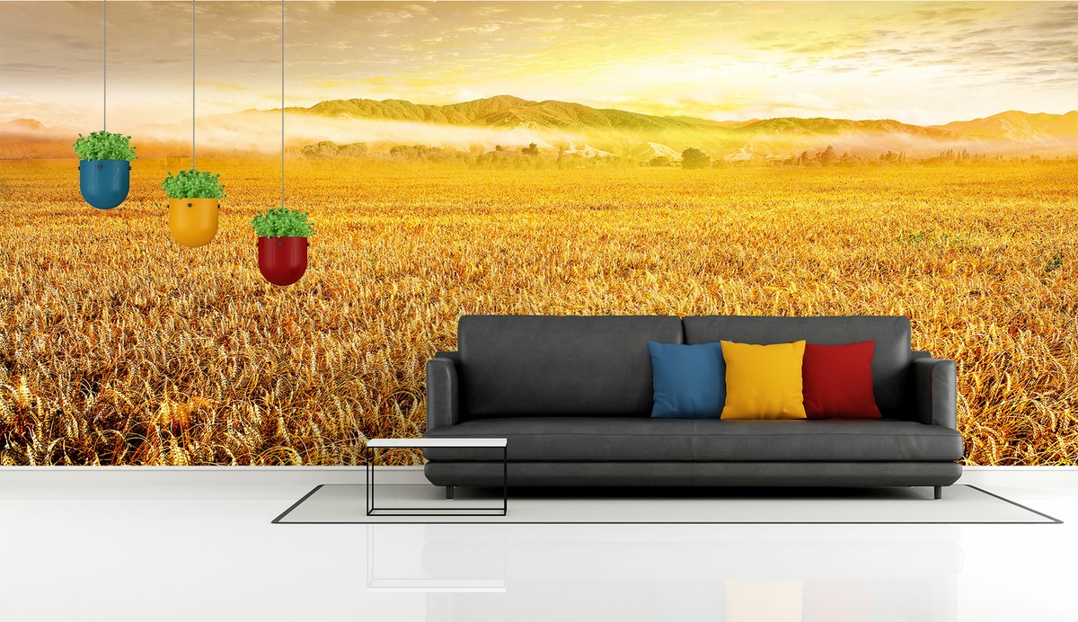 Golden Wheat Field Wallpaper