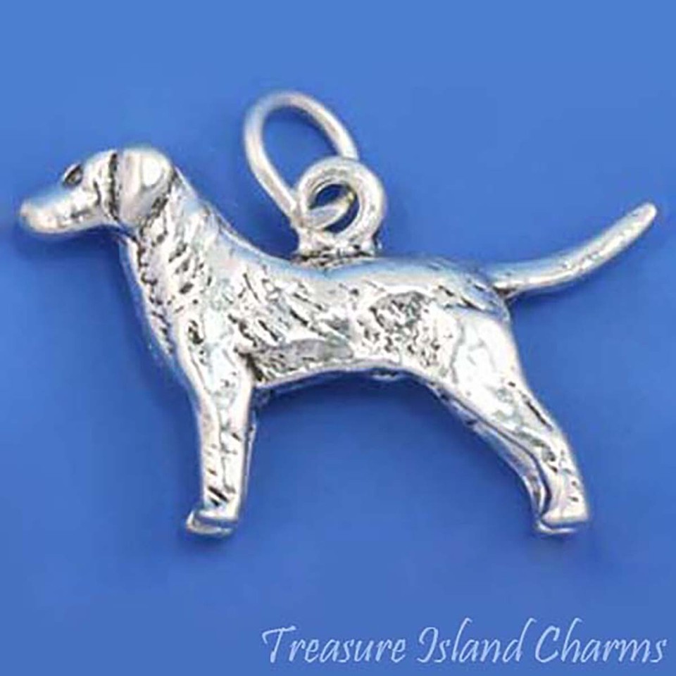 Labrador Retriever Lab Dog Breed 3D 925 Solid Sterling Silver Charm ...