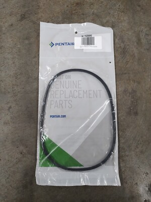 Genuine Pentair 152509Z TR100CTR140C Filter Dome Closure Square O-Ring ...