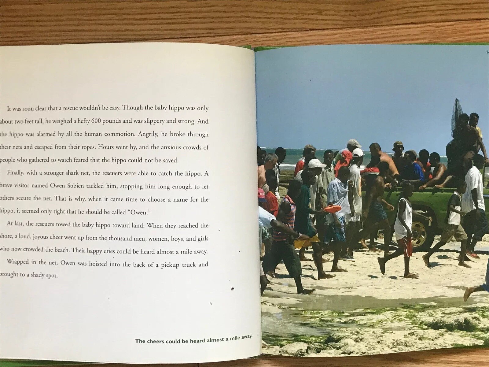 Owen & Mzee Hardcover Illustrated Book The True Story Of A Remarkable ...