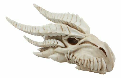 Large Dragon Fossil Skull Statue 14.5"L Archaeology Dragon Skeleton ...