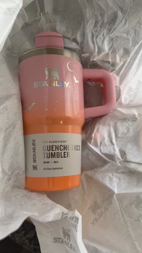 Stanley x Target Halloween 2025 20 oz Quencher Tumbler NEW! | eBay