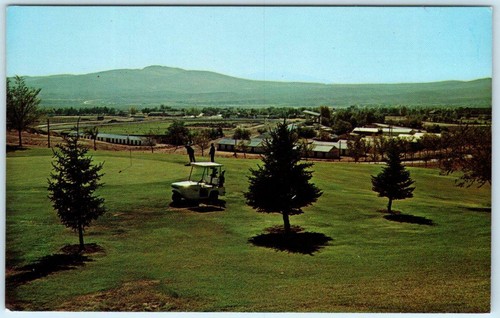 ELKO, Nevada NV RUBY VIEW GOLF COURSE Golf Cart ca 1970s Postcard | eBay