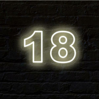 Eighteen 18 Birthday Party LED Neon Light Sign Beer Bar Club Room Wall ...
