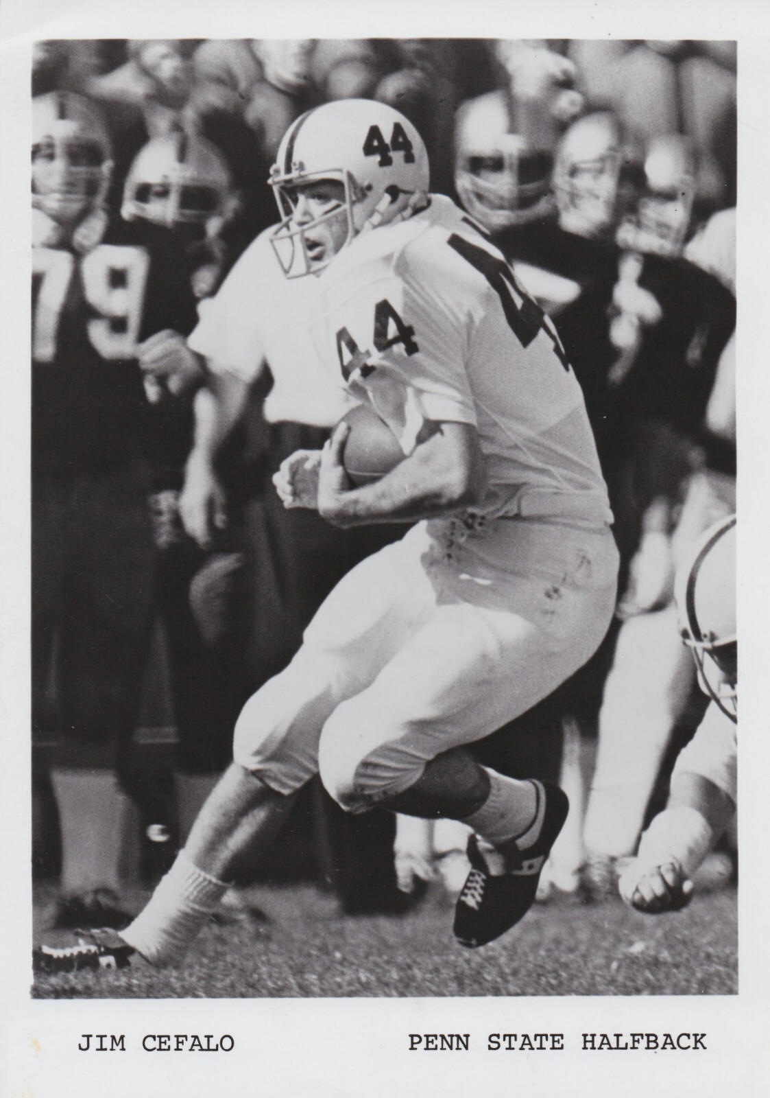 1975 Press Photo Penn State Football Player Jimmy Cefalo | eBay