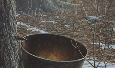 Robert Bateman - Sap Bucket - Myrtle Warbler - Limited Edition Print | eBay