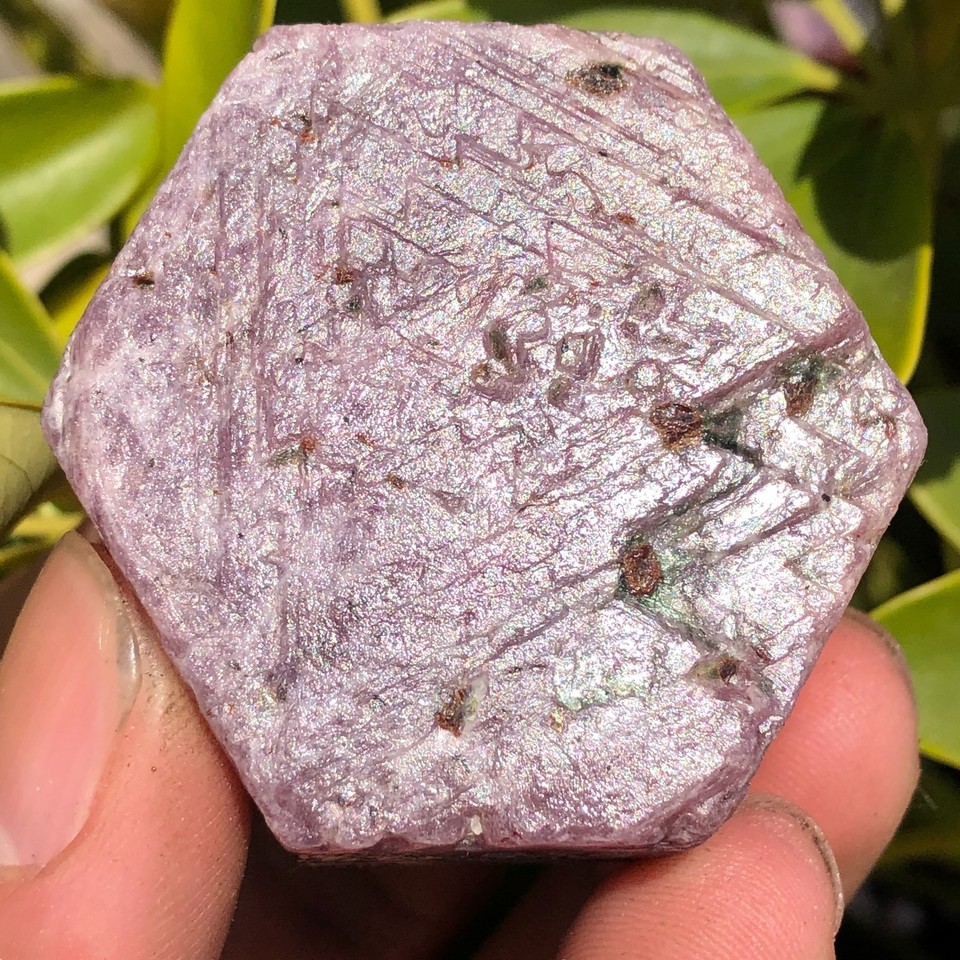 148g Ruby Raw Crystal Record Keeper Hexagon Corundum Birthstone Rough ...