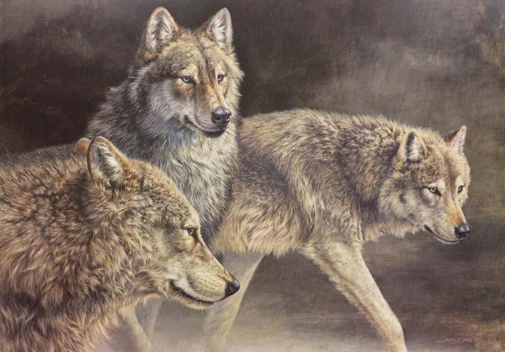 Jorge Mayol - Distant Call - Wolves - S/N Lithograph - Signed - MINT | eBay