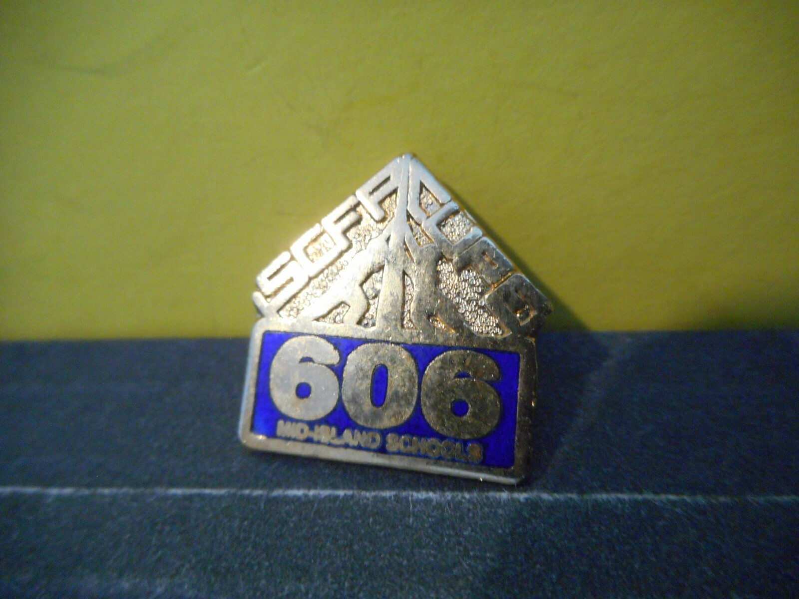CUPE Local 606 - NANAIMO-LADYSMITH SCHOOL DISTRICT Union Lapel Pin | eBay