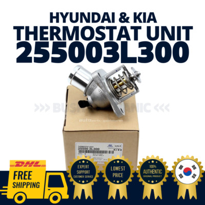 GENUINE OEM Hyundai Kia Thermostat Unit Assy 255003L300 | eBay