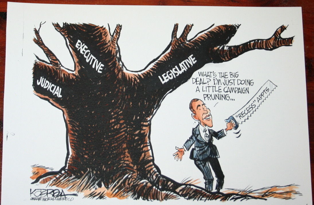 Constitution Cartoons In Color