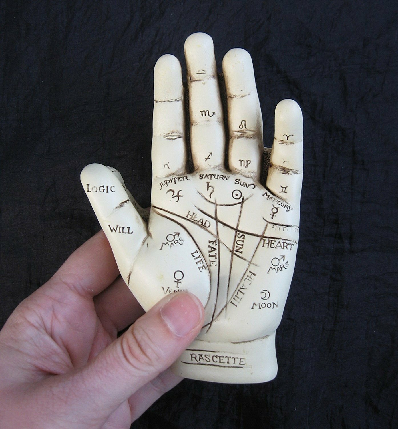 PALMISTRY HAND KIT Includes Cold-Cast Resin Hand & Guide Booklet Palm ...