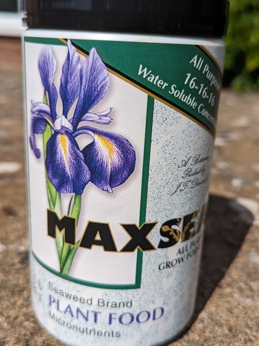 MAXSEA 16-16-16 Plant Food / Fertiliser Suitable For Carnivorous Plants ...