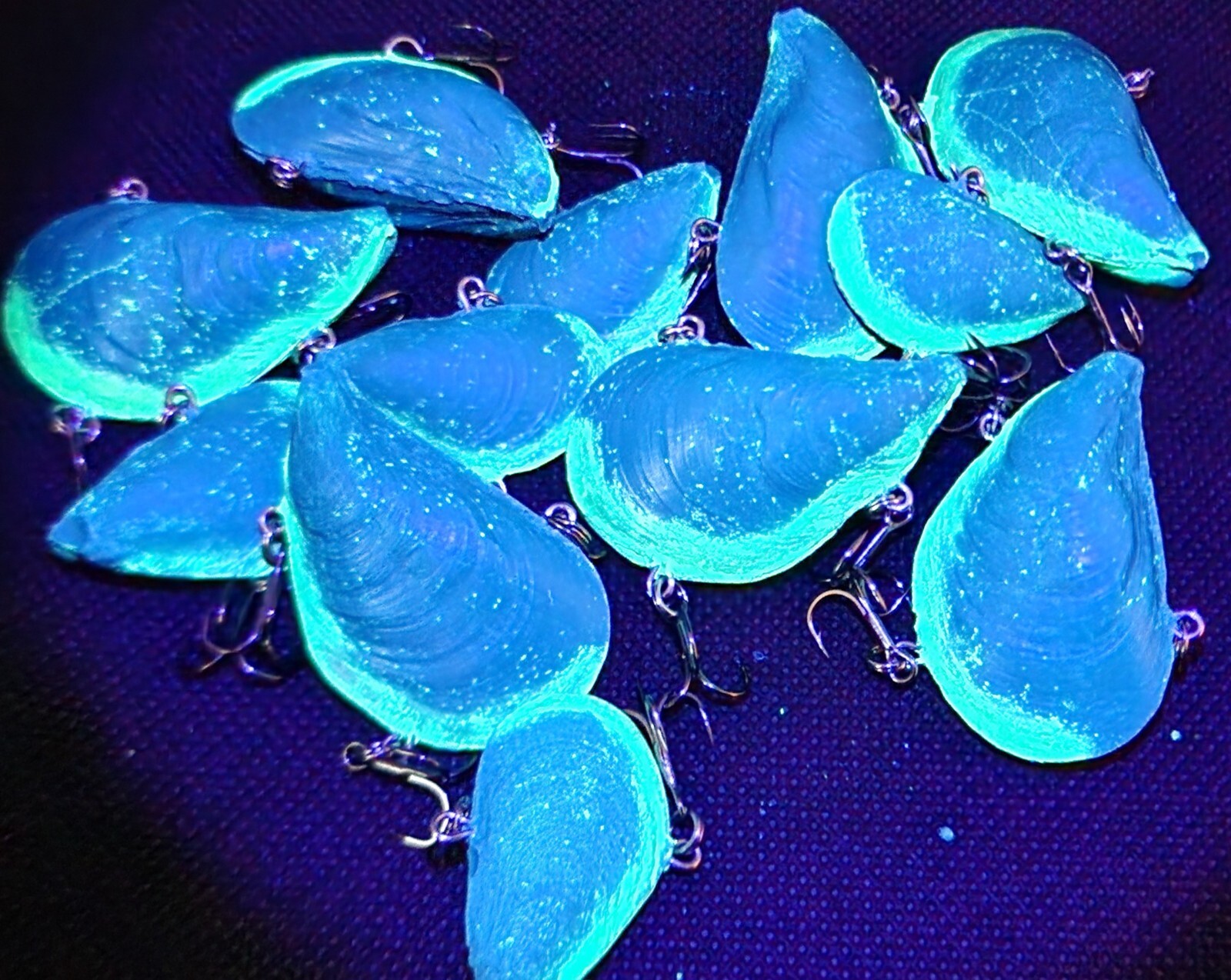 Fishmad Mussel Lure (Small) - Bream catching machines! | eBay Australia